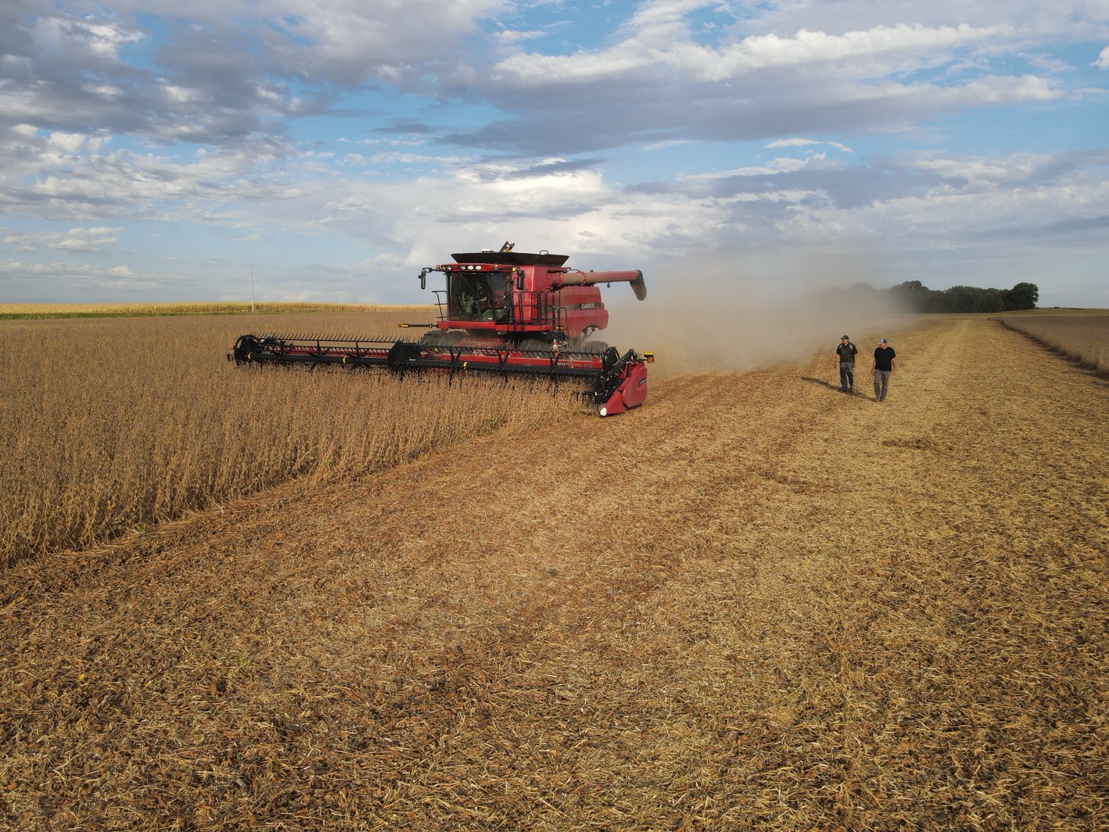 2024 Harvest Photo Contest - Ingstad Media