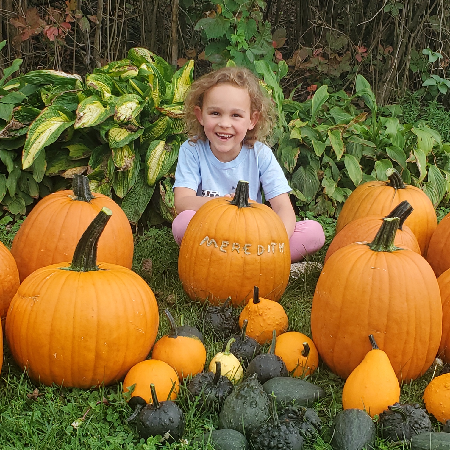 2025 Harvest Photo Contest - Ingstad Media