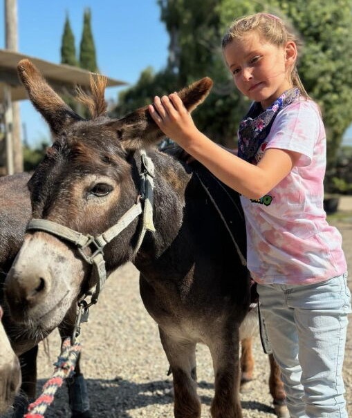 Paetyn Harpstead - Ingstad Media